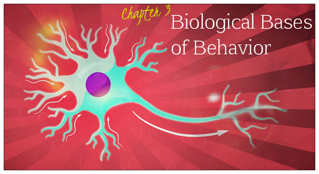 AP Psychology @AHS: NOTES