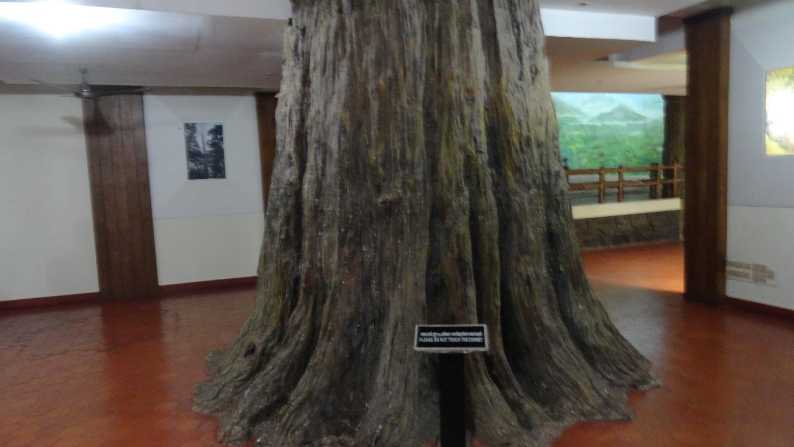 My Clicks: Nilambur Teak Museum