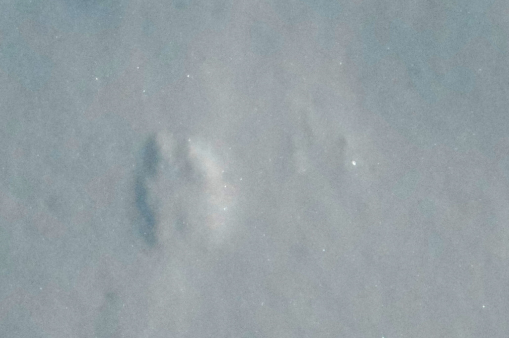 Backyard Beasts: Eastern cottontail tracks and trails...