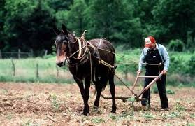 La mecanizcion agricola: Historia de la labranza