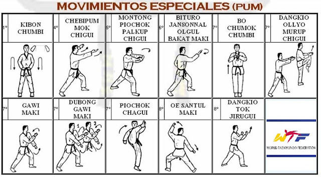 taekwondo IKA : mayo 2013