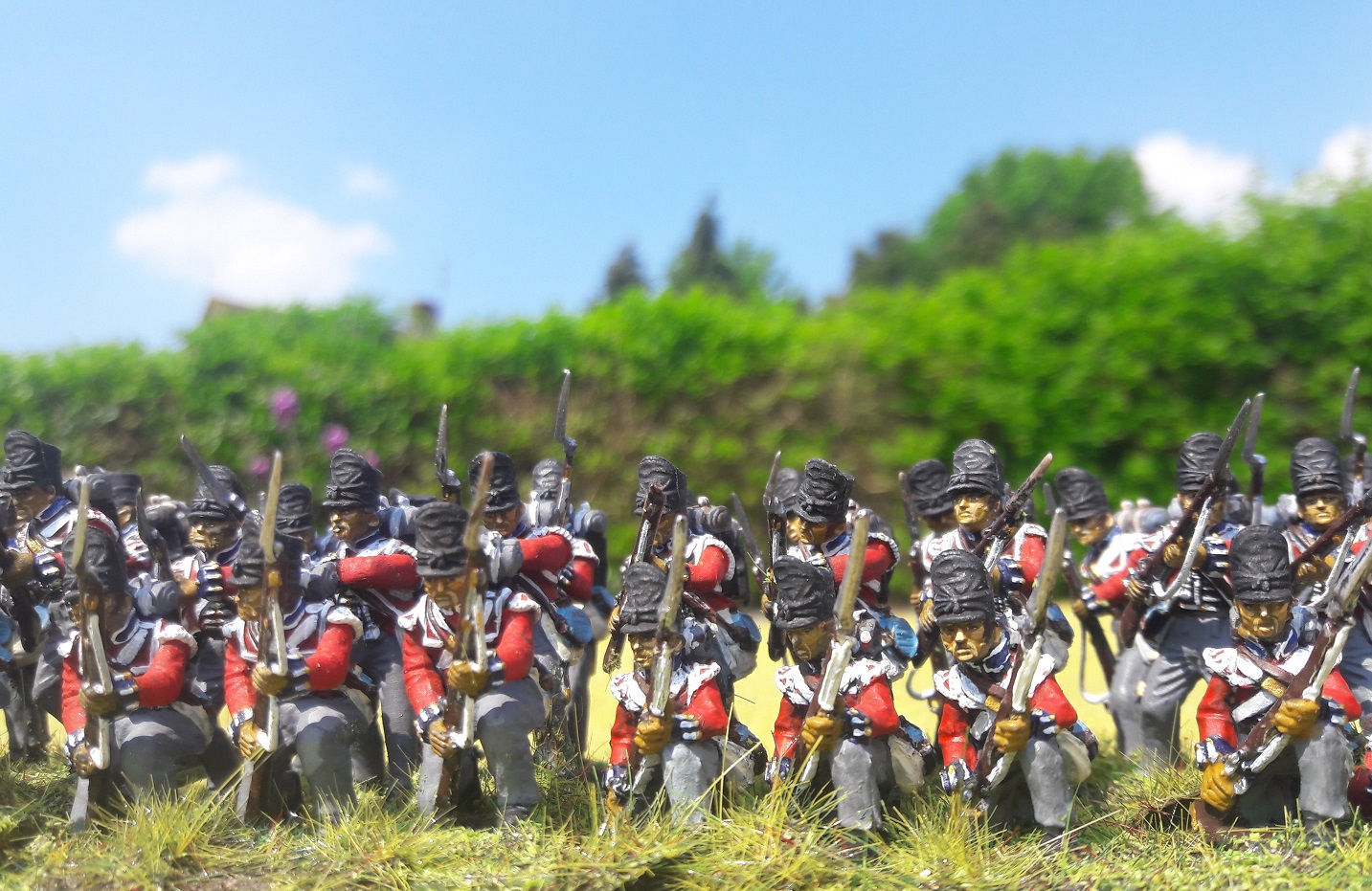 The British Army At Waterloo: 23rd Foot (Royal Welch Fusiliers)