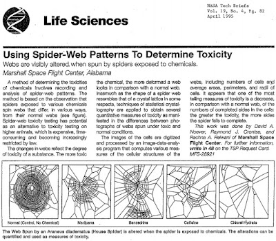 The Bohemian Budgie: Spiders on LSD