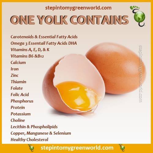 One Yolk Contains