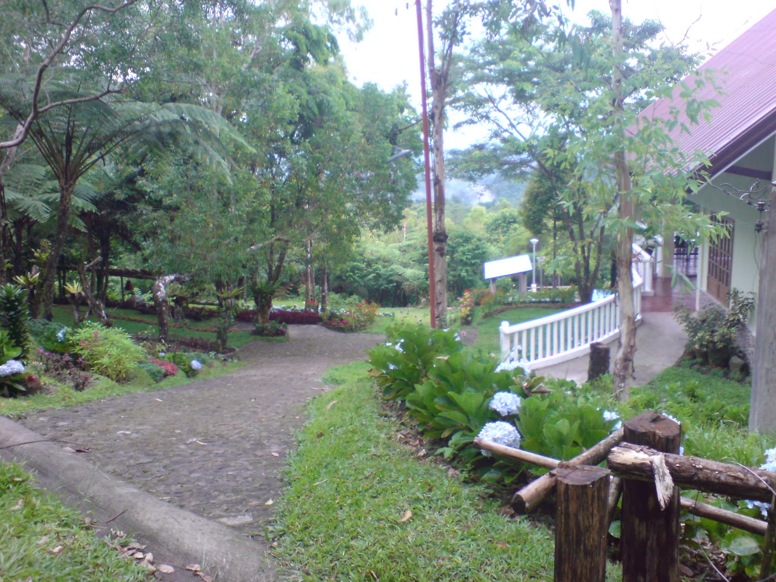 Beaches and Get Aways in Negros Island: A DAY IN PATAG, SILAY CITY