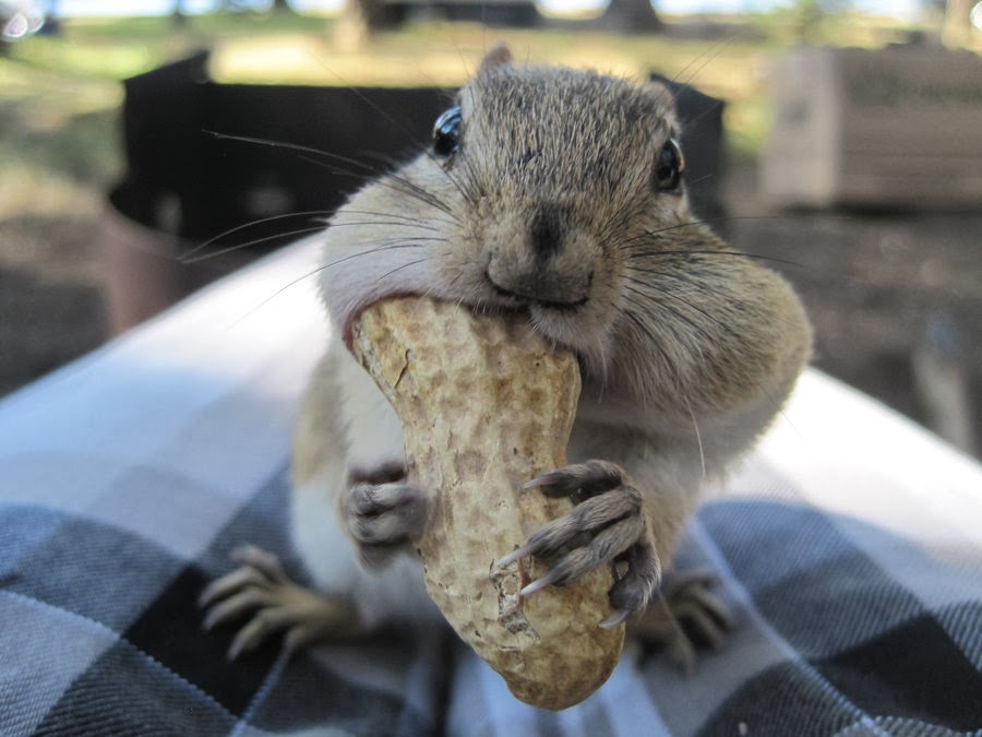 Trying to see the Funny Side