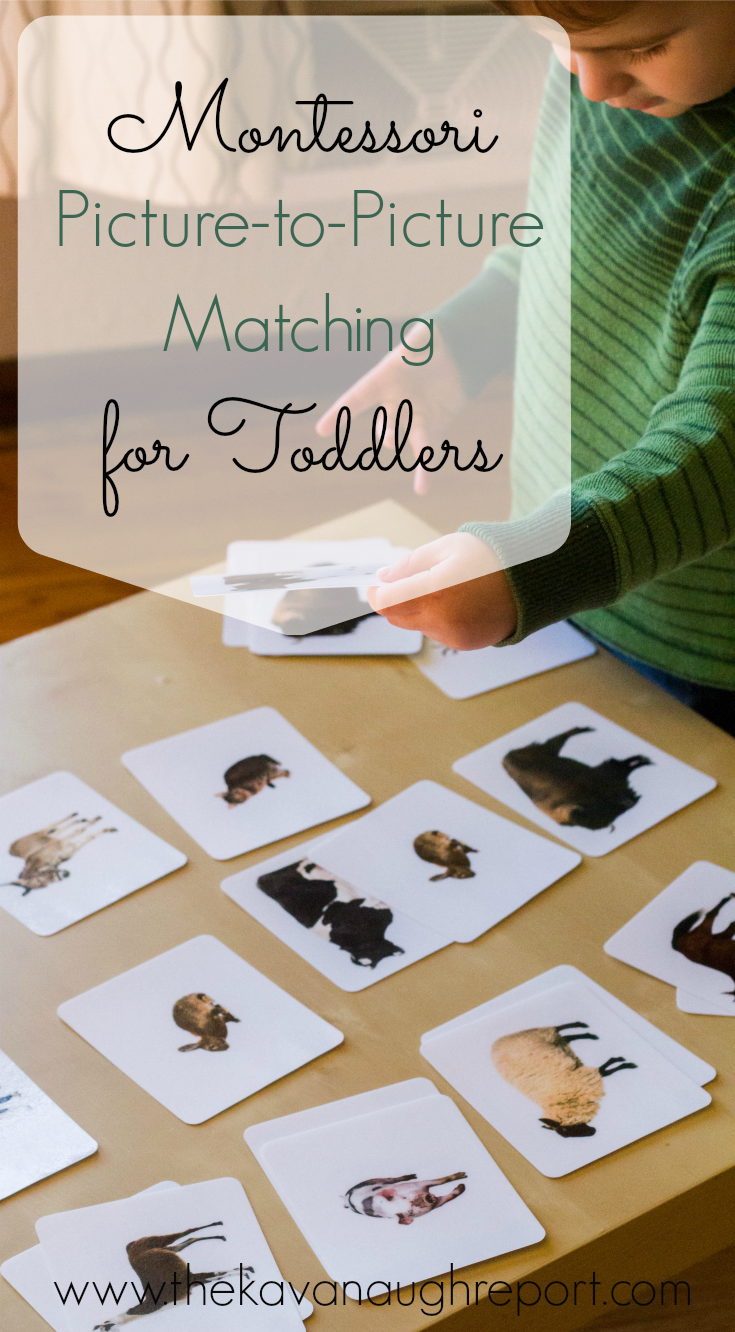 Picture-to-Picture Matching for Montessori Toddlers