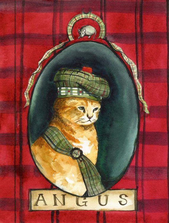 Content in a Cottage: Angus, The Scottish Cat