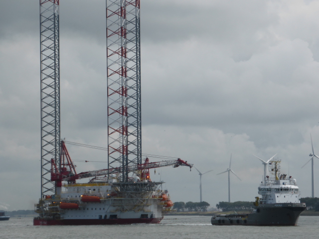 Scheepvaarthoek: Union Bear