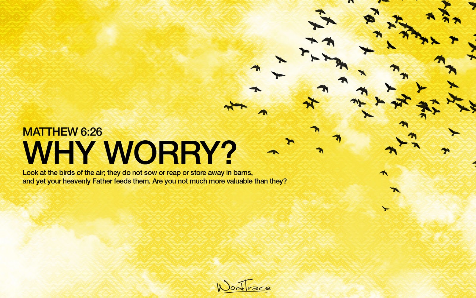 Not Just A Name: Why Worry?