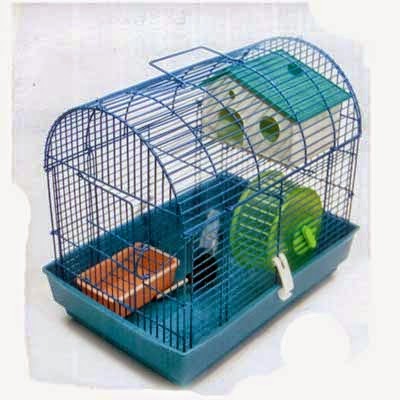 HRČAK ( HAMSTER ) -MALENI SLATKIŠ,upoznajte me.