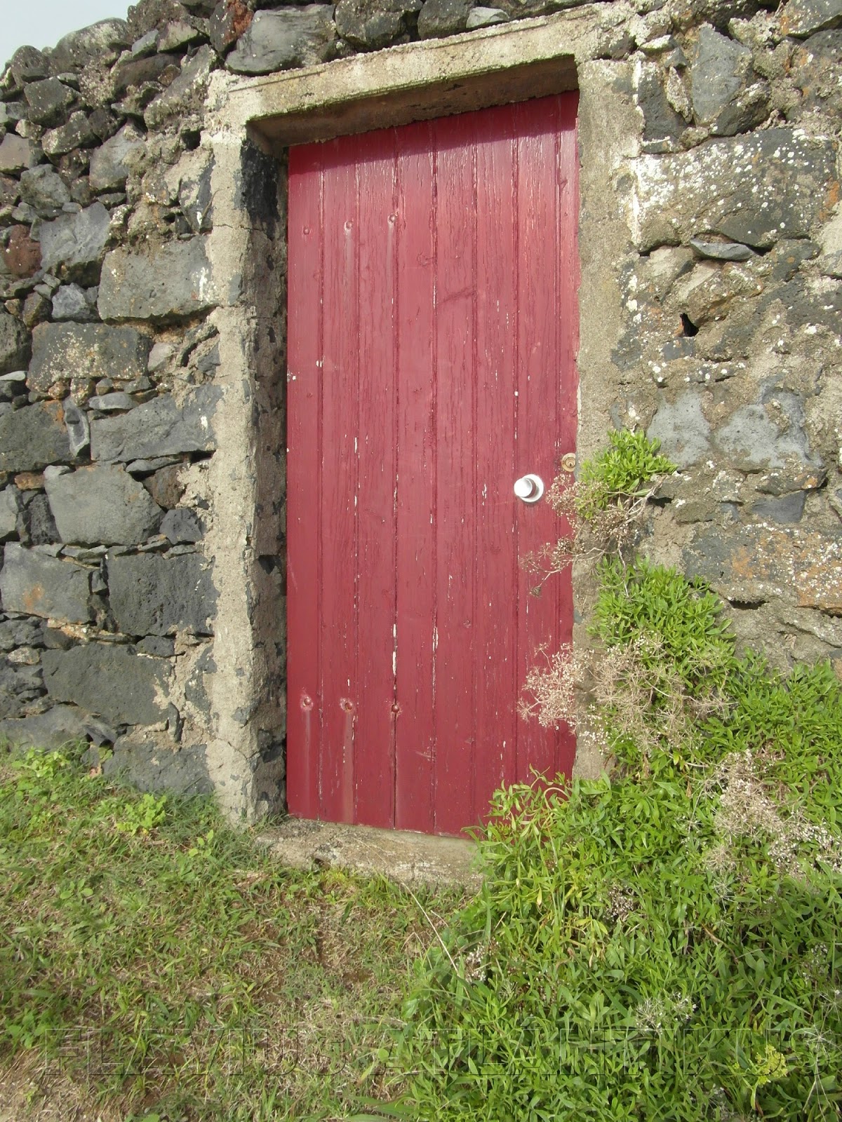FLAVIUS ATLANTIKUS: Rocha da Relva - S. Miguel Island - Azores - Portugal
