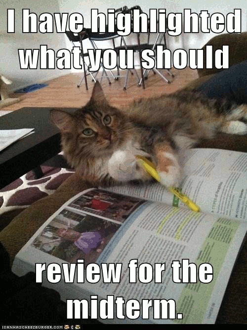 Grammar Catz: Grammar Cat #123: Tutor Cat