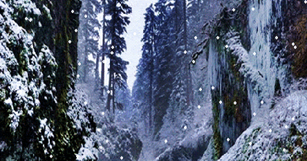 Gif_WINTER_Snowfall_ Animated Image_18 | Joy Design Studio