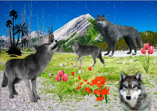 andaluciabella: LOBOS EN FAMILIA