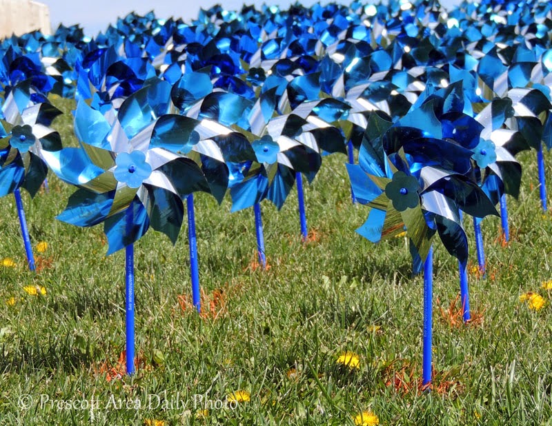 Prescott Area Daily Photo: Pin Wheels