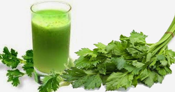 Manfaat Tanaman Peterseli Untuk Mengatasi 9 Penyakit Mata, Termasuk ...