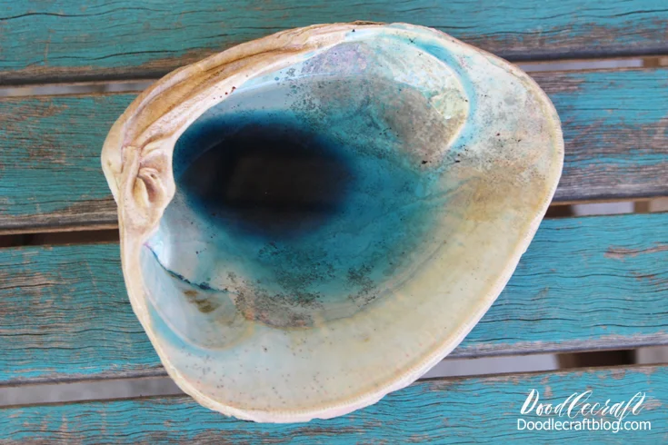 Resin Craft: Seashell Soap Dish DIY