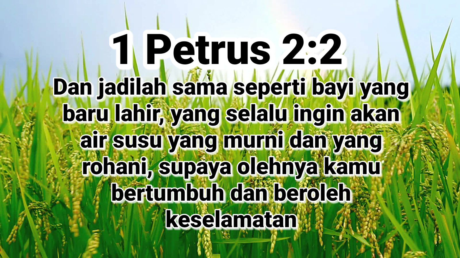 RENUNGAN BACK TO BIBLE: MEMAHAMI KELAHIRAN BARU DENGAN BENAR (Bagian 2)