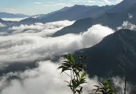 Parque Natural Nacional Munchique: 2014