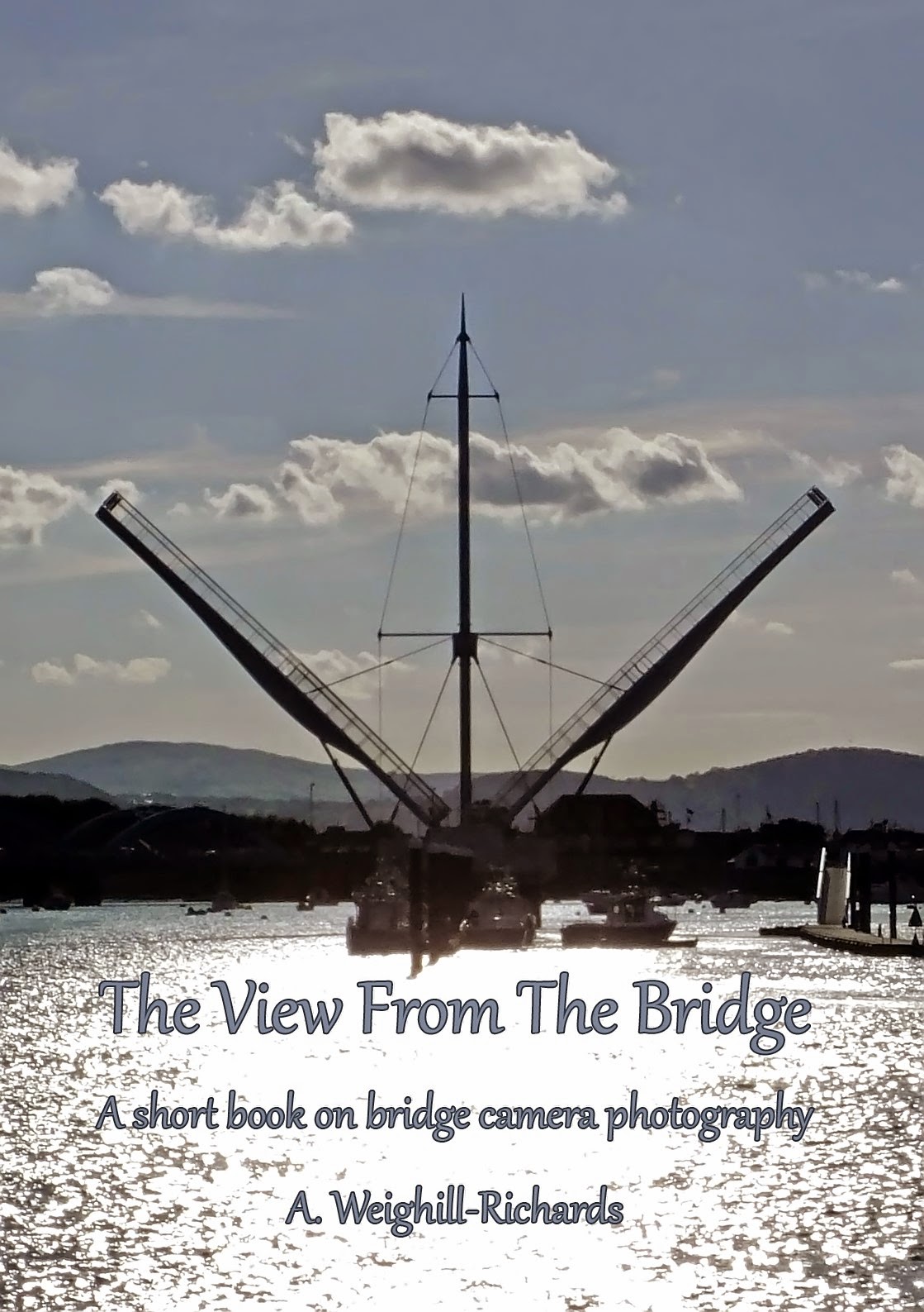 The View From The Bridge