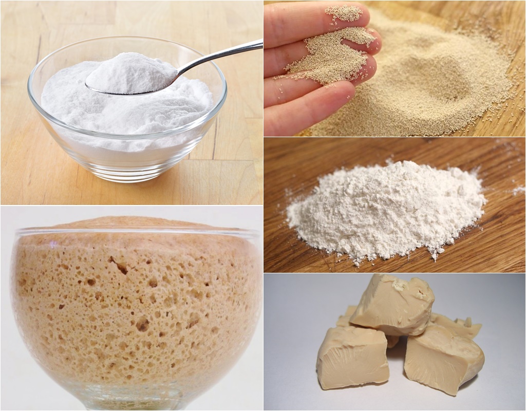 Conheça os 5 tipos de fermentos | Receita rápida e simples de fazer