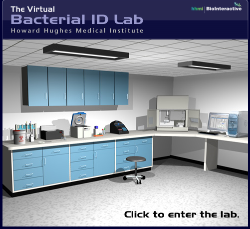Microbiology: Laboratorio virtual HHMI