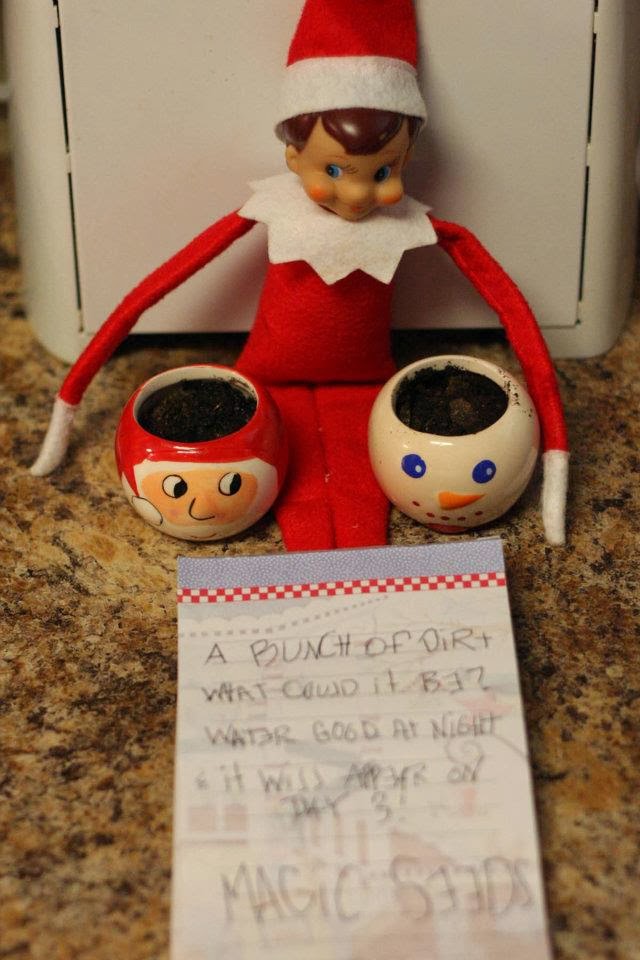 THE ANTICS OF ONE ELF!