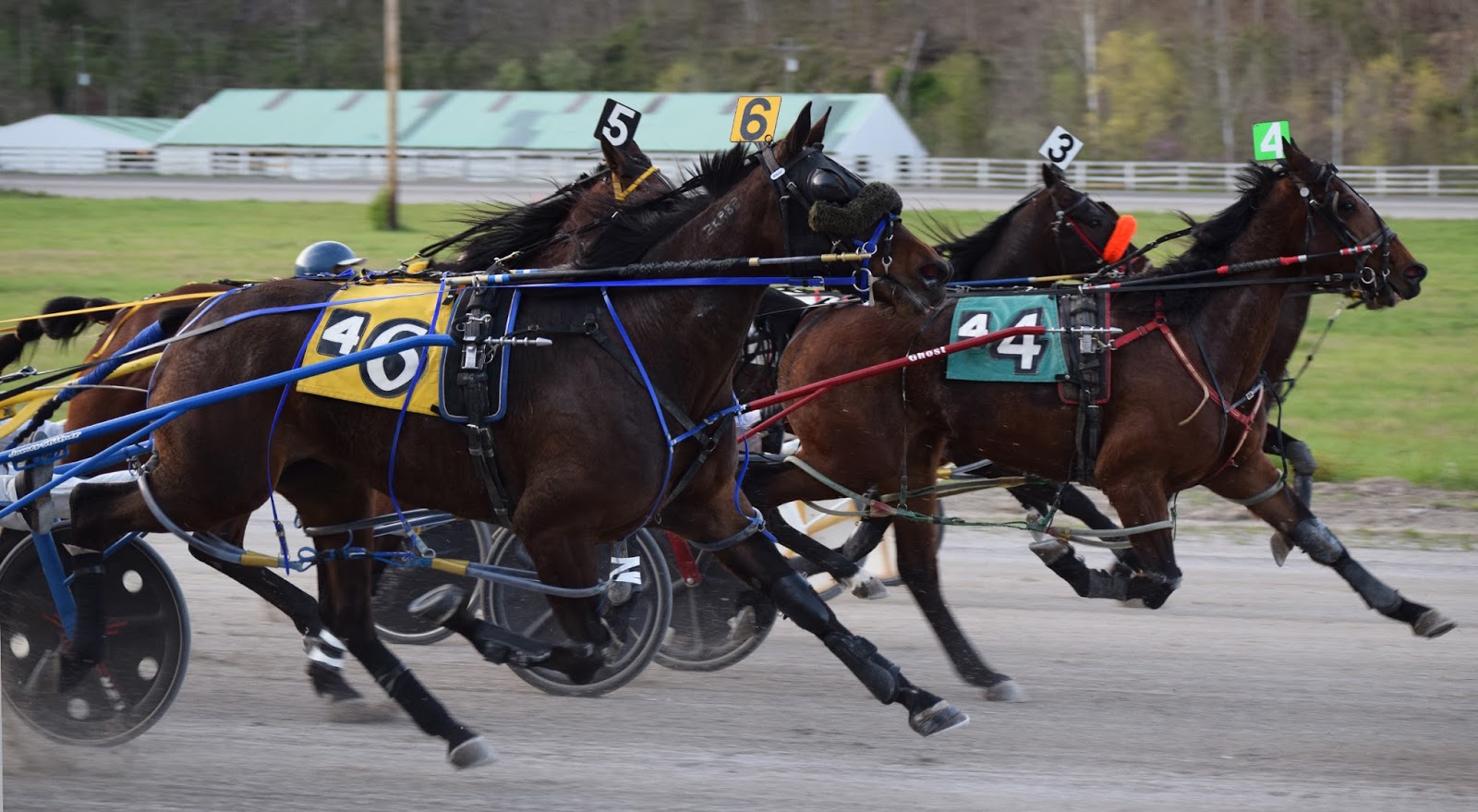 They're Off And Racing At Thunder Ridge