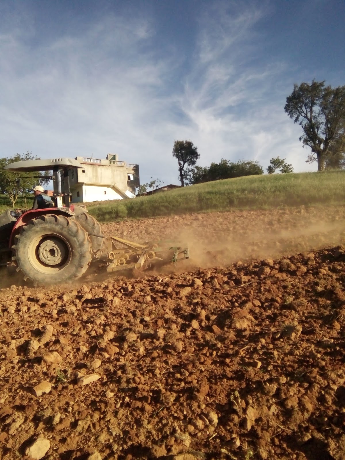 De la semence à la plante ~ COURS