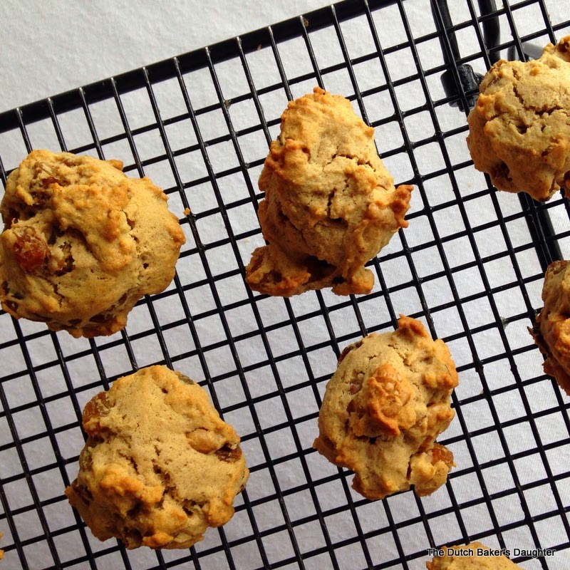 The Dutch Baker's Daughter: Hermits