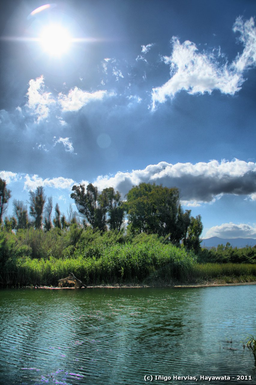 El blog de Hayawata: A la orilla del rio