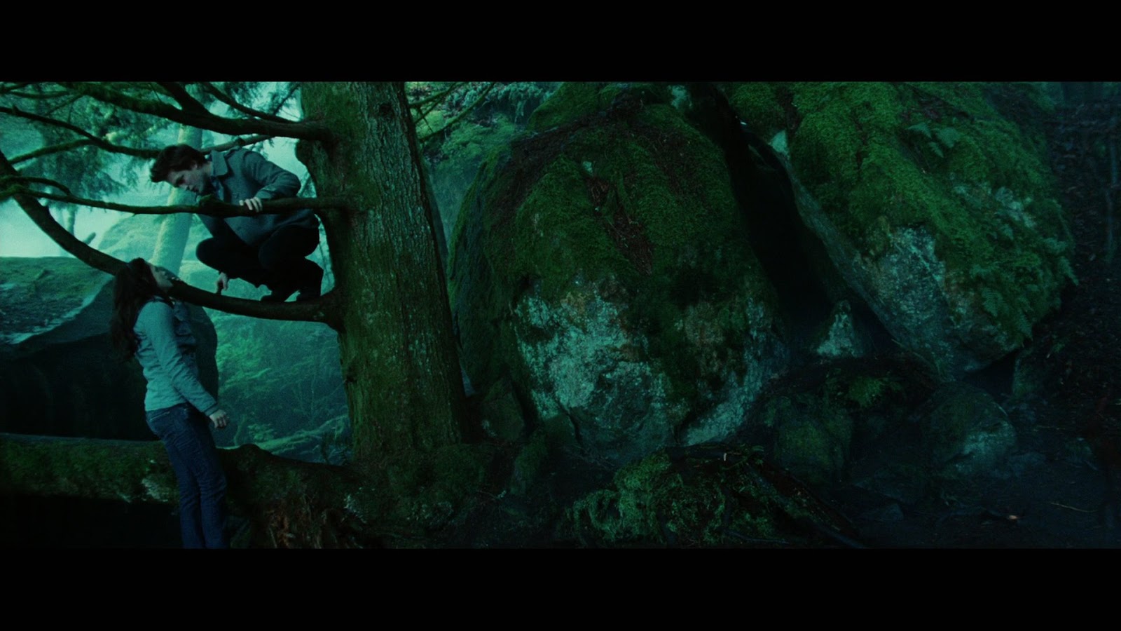 Twilight in Iowa: Stone Cliff Inn - Skin of a Killer Scene, Lion & Lamb ...