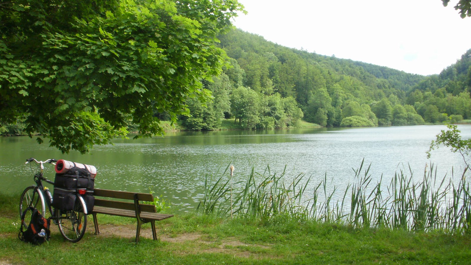 EXCURSII CU BICICLETA: Elvetia