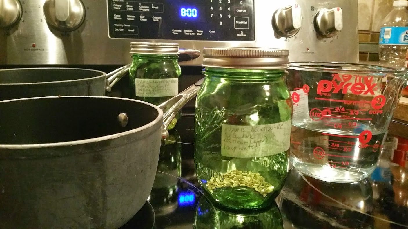 Appalachian Plant Magic and Mushrooms: Marshmallow & Burdock: Cold ...