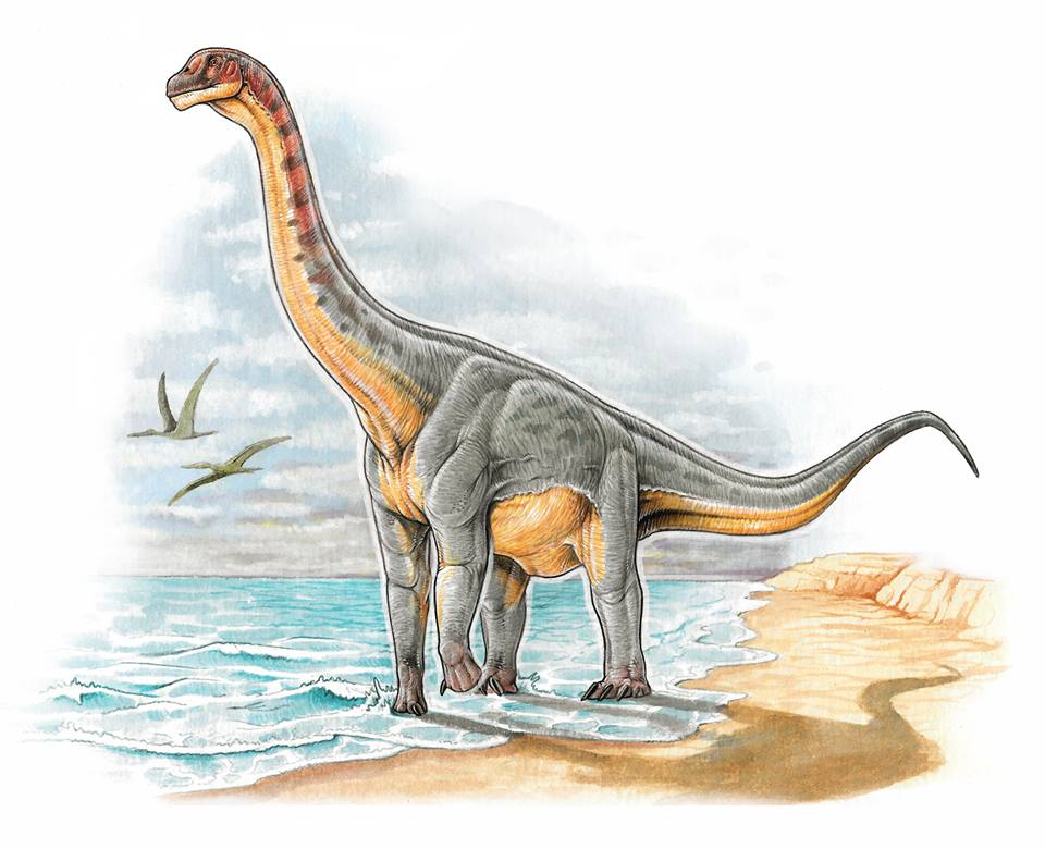 Species New to Science: [Paleontology • 2015] Padillasaurus leivaensis ...