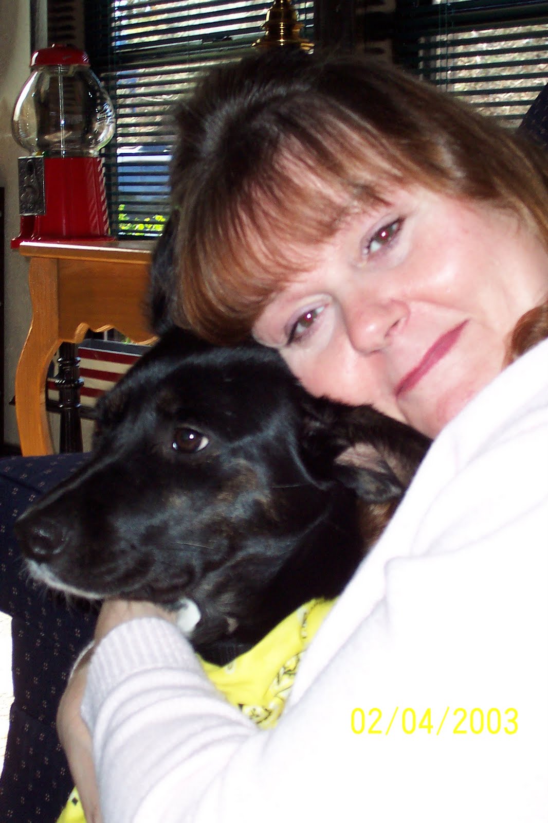 Just One Mans Opinion: It's a Daisy!