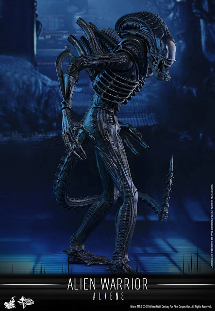 toyhaven: Hot Toys all new "Aliens" Xenomorph 1/6th scale Alien Warrior ...