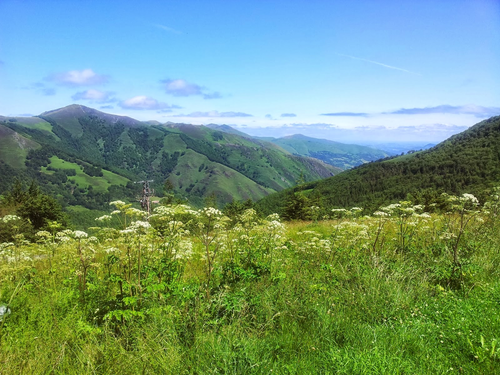 Aitor Delgado Basque Private Tour Guide: Reasons to visit Bilbao, San ...