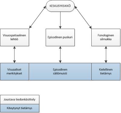 Psychology: Lyhytkestoinen muisti & Työmuisti