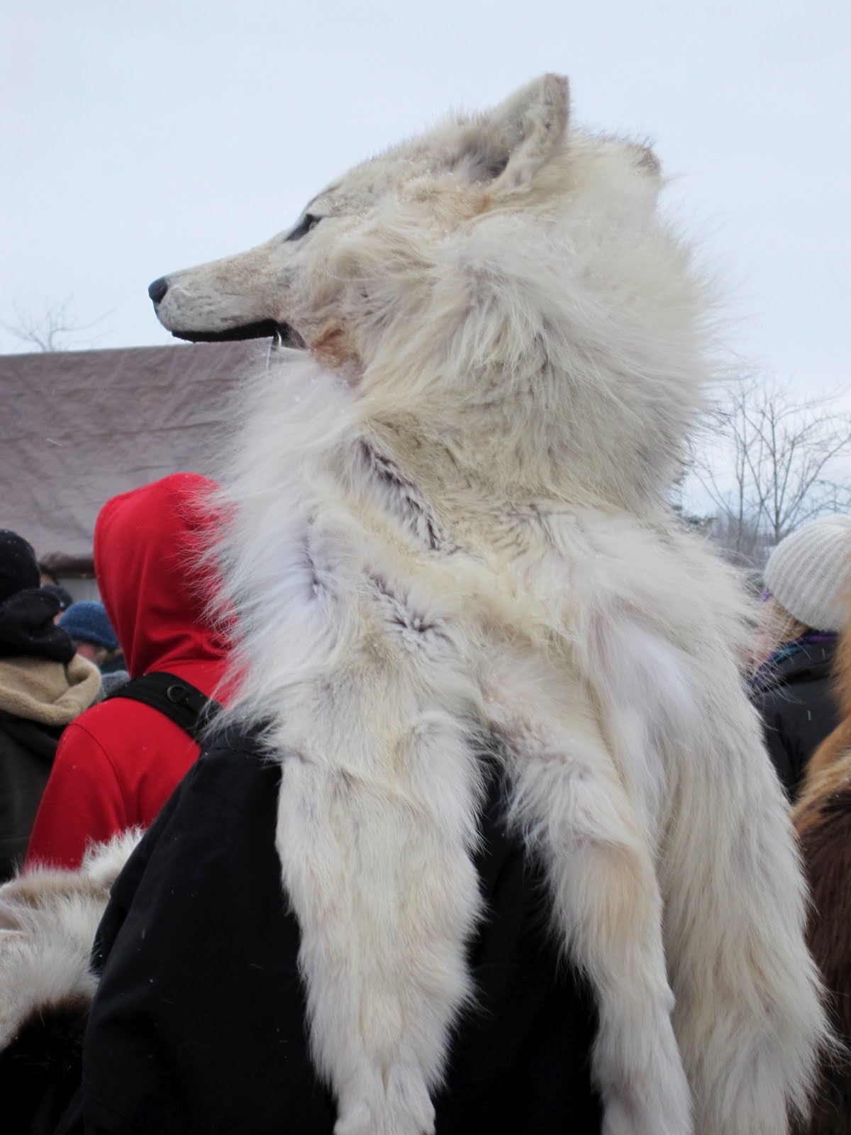 each day an adventure in alaska: a taste of fur rondy