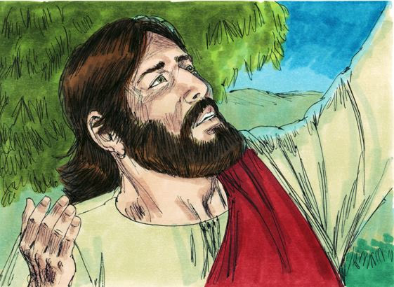 Jesus Announces He is the Savior | Bible Fun For Kids