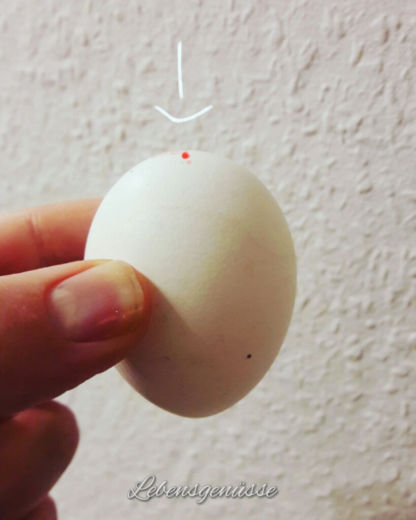 Lebensgenüsse: Lifehack Eier richtig anstechen