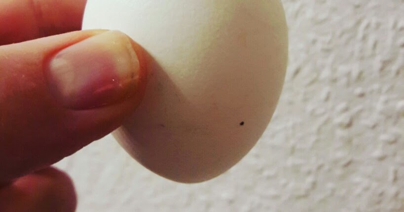 Lebensgenüsse: Lifehack Eier richtig anstechen