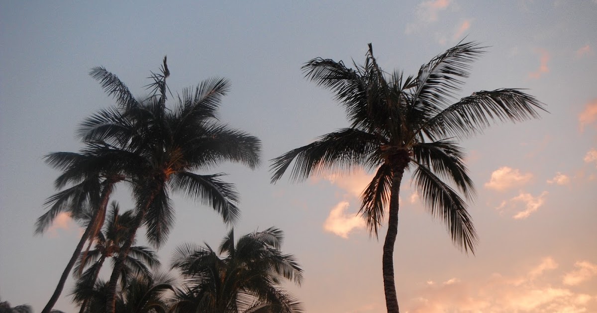 The legend of the coconut tree.