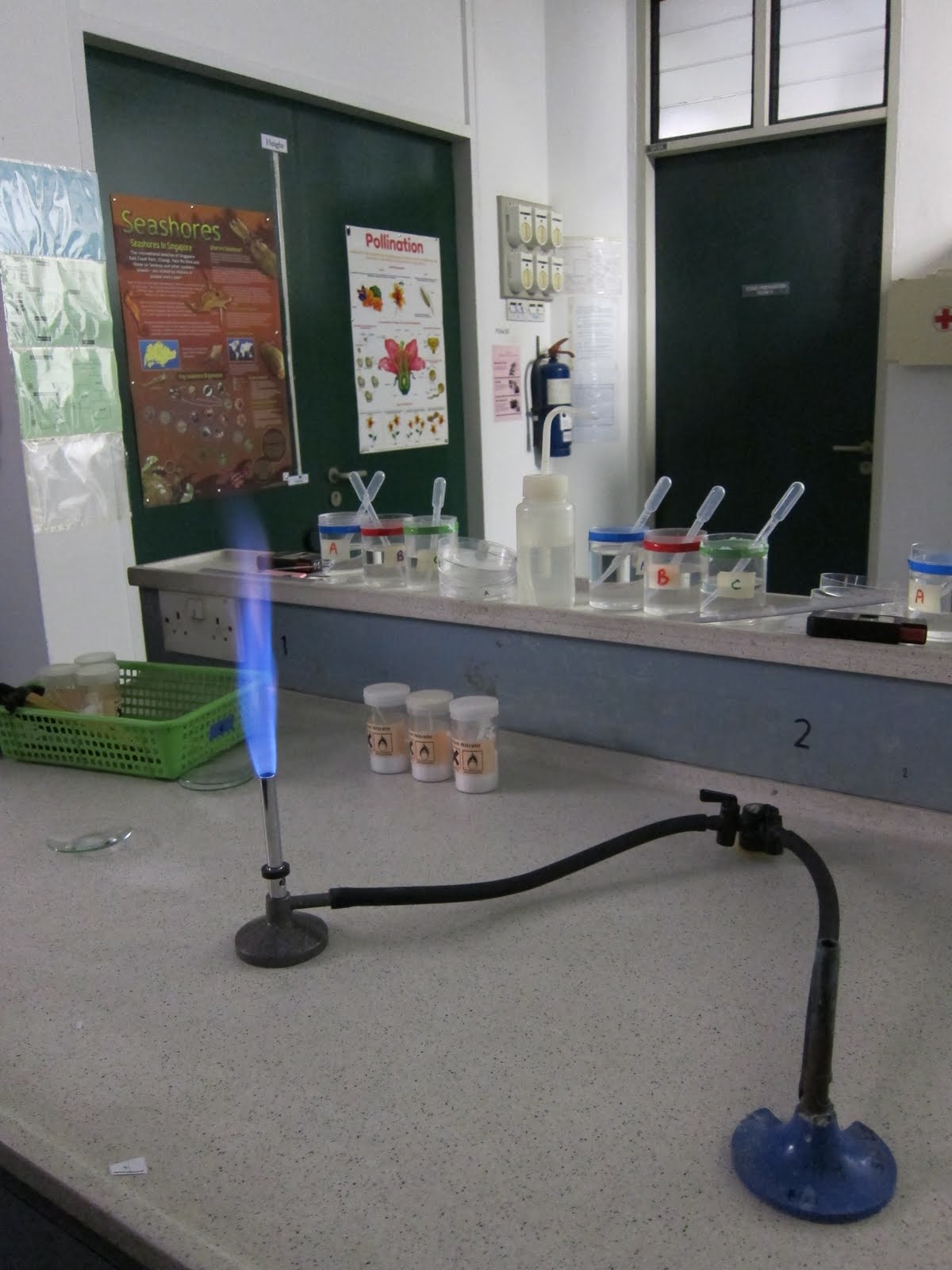 WARNING: DO NOT CROSS: CSI: Flame Tests and Chromatography