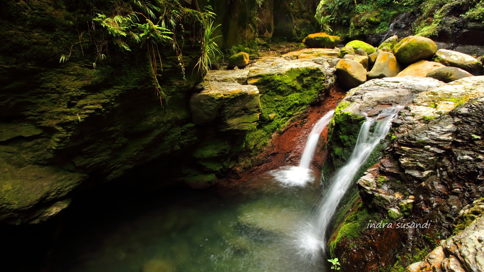 Water Trek di Taman Nasional Gunung Halimun Salak: Curug Kondang, Green ...
