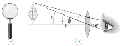 berbagainfo: Alat Optik