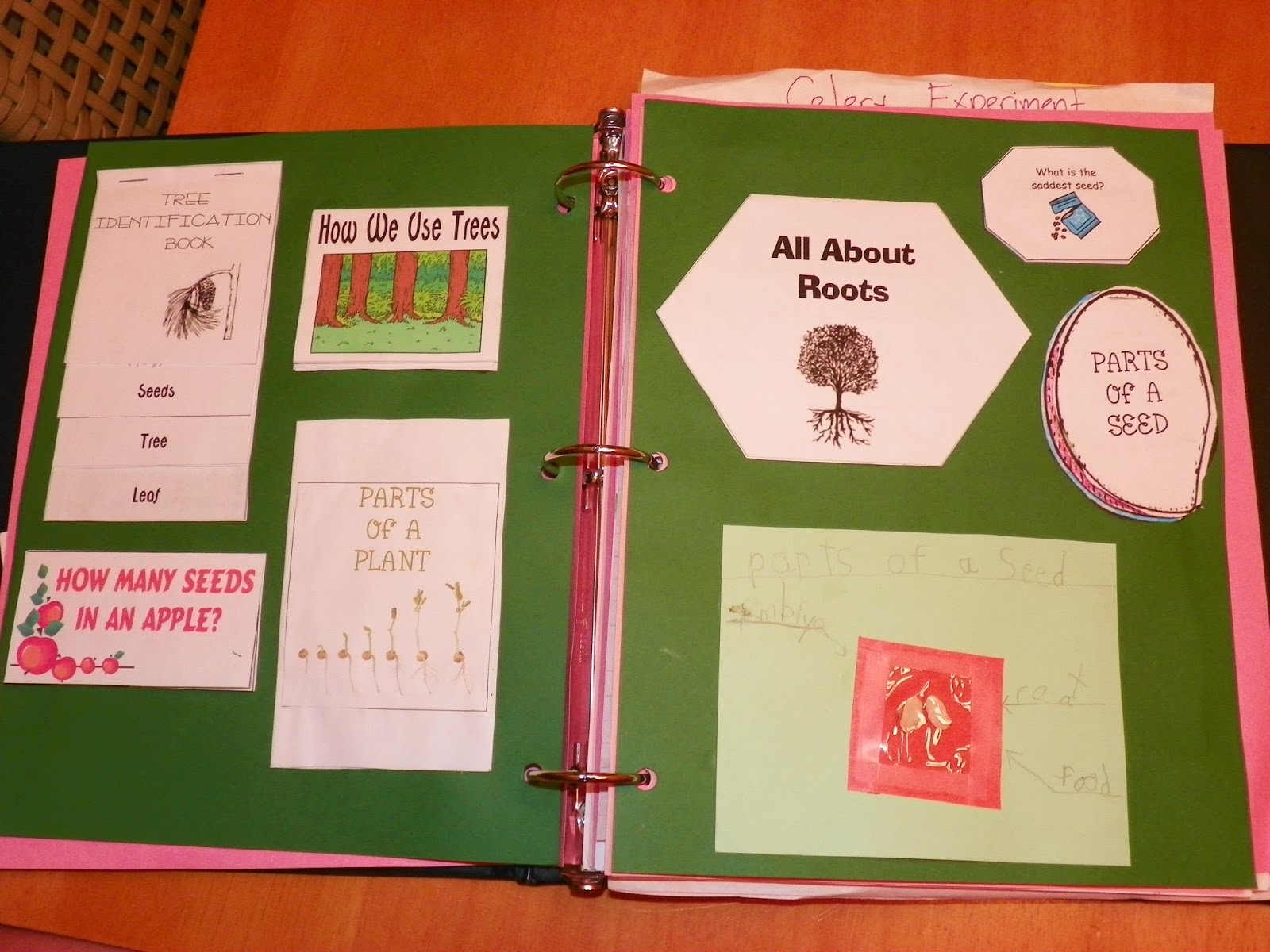 The Little Sewing Shop: Plants/Trees/Seeds lapbook and unit study