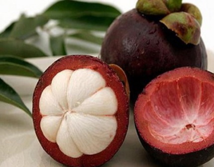 8 Khasiat Buah Manggis Bagi Kesehatan | Serba Serbi komplit